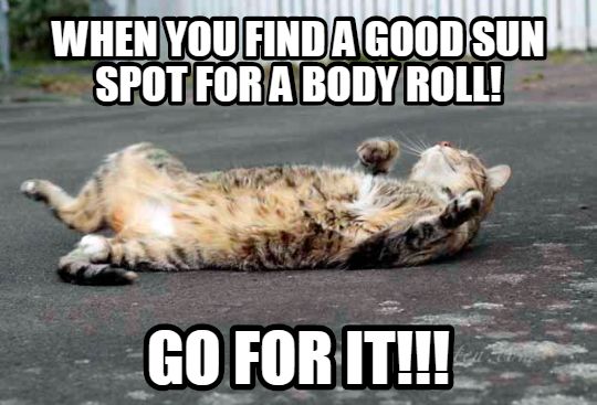 Body Roll Memes Rolling Dice Is Fun : R/dndmemes
